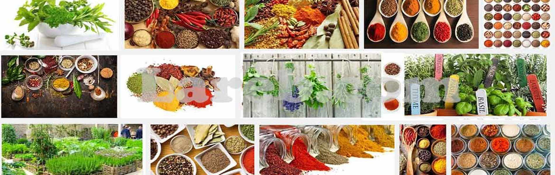 Lareb International – Technology, Travel, Foods, Media & Finance